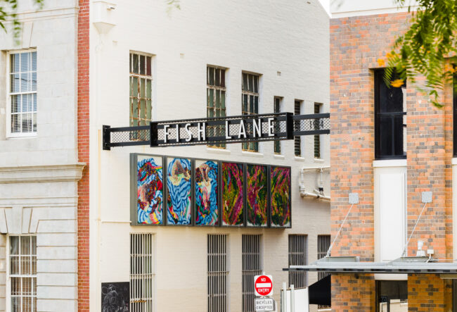 Arts — Fish Lane Brisbane