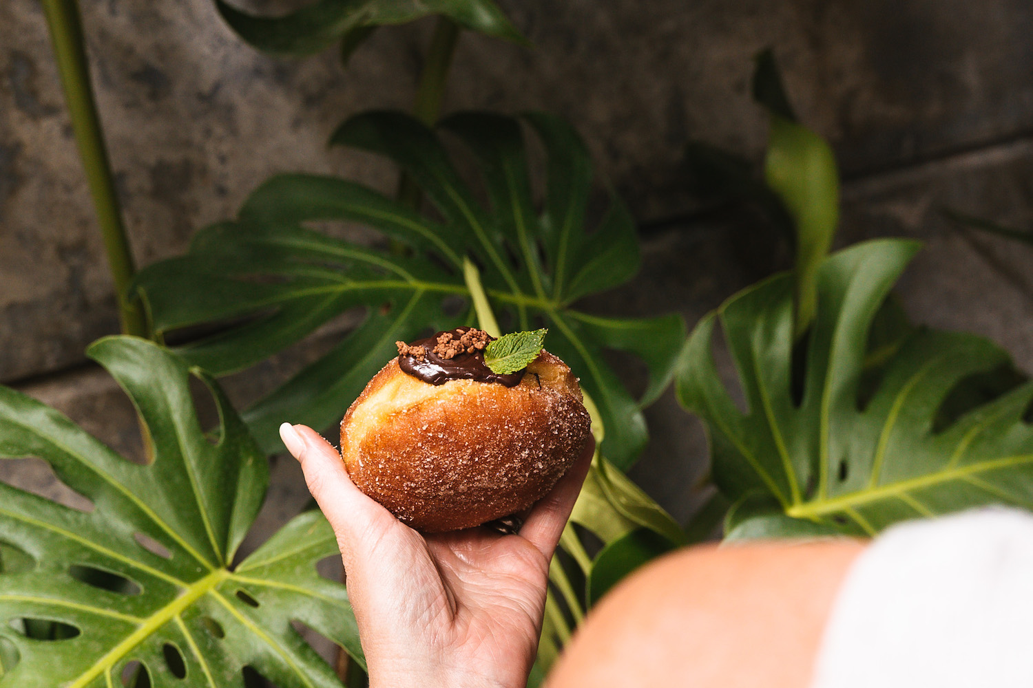 What's on in June — Fish Lane Brisbane