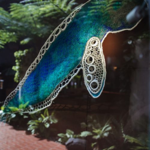 Town Square Vitrines — Fish Lane Brisbane